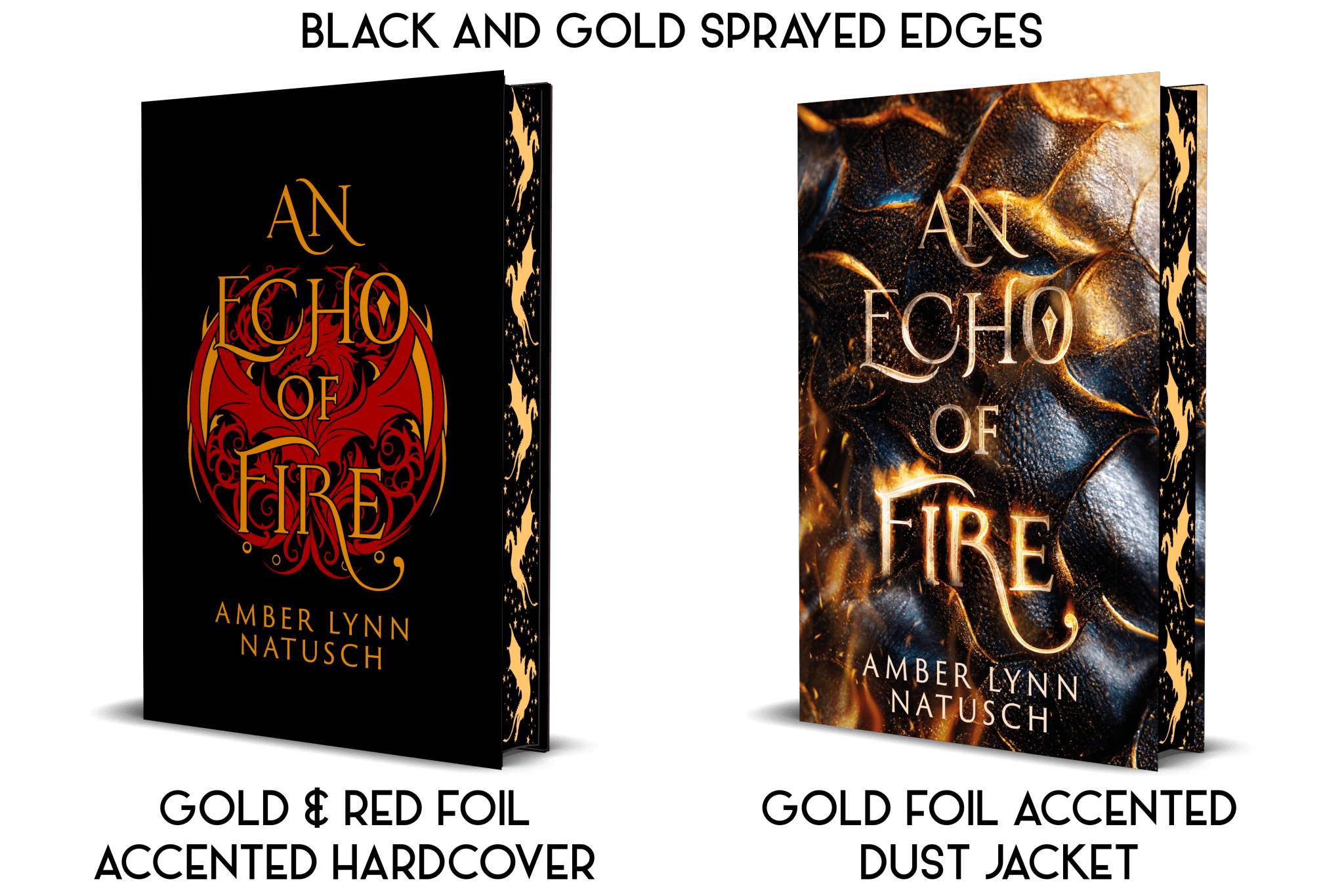 An Echo of Fire Kickstarter Edition Hardcover – Amber Lynn Natusch
